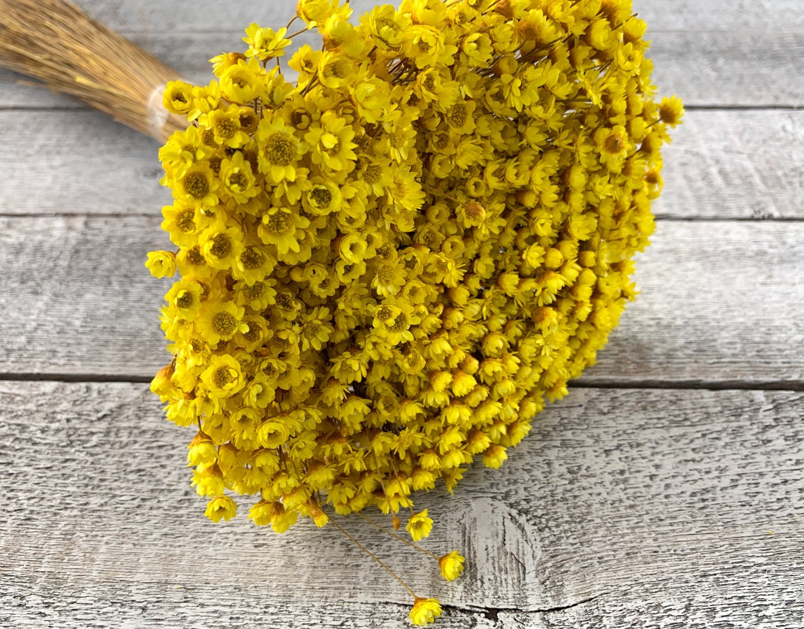 Star Flowers - Luv Sola Flowers